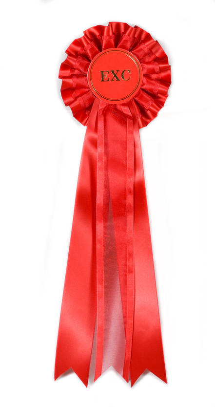 Erinomainen Ruusuke - Showlink verkkokauppa